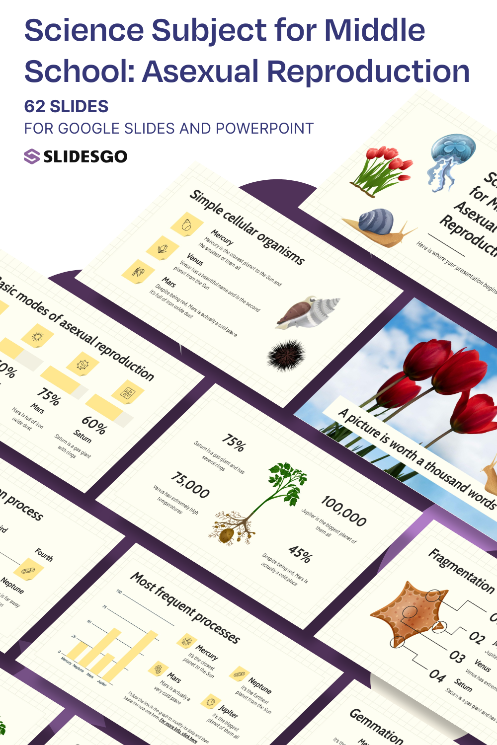 Science Subject for Middle School: Asexual Reproduction