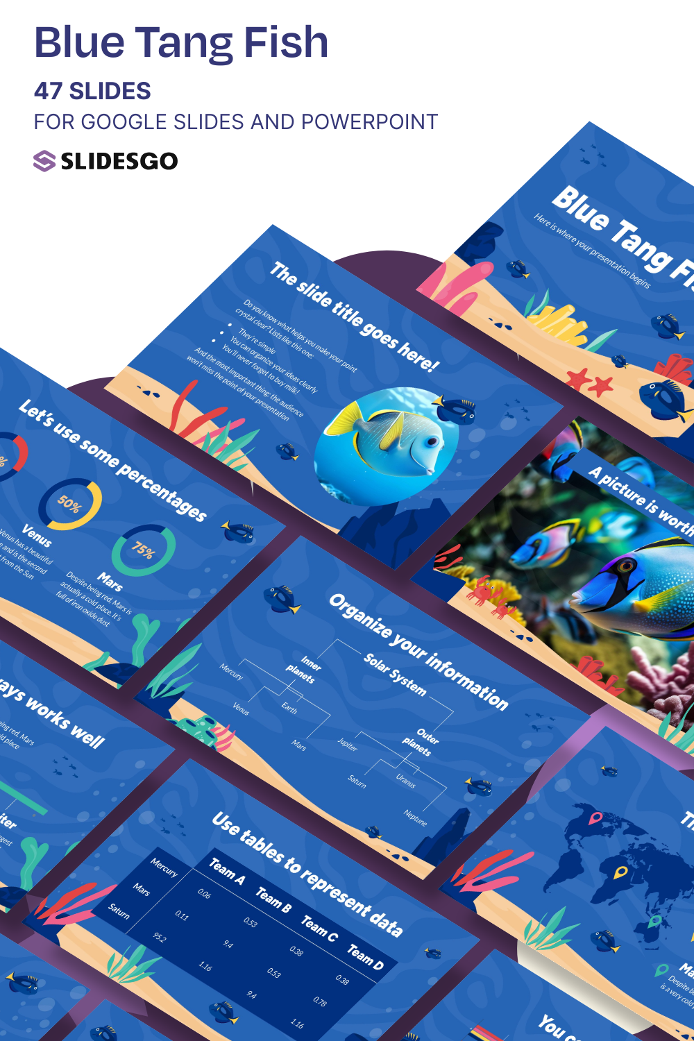 Blue Tang Fish Presentation