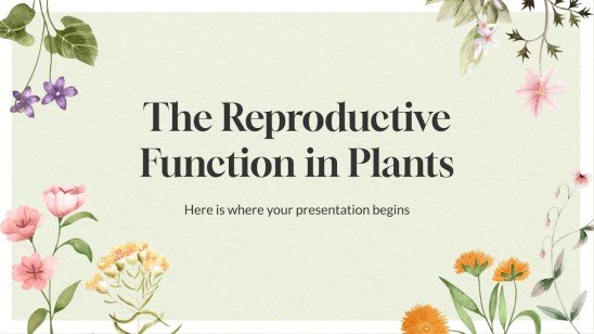 The Reproductive Function in Plants Presentation
