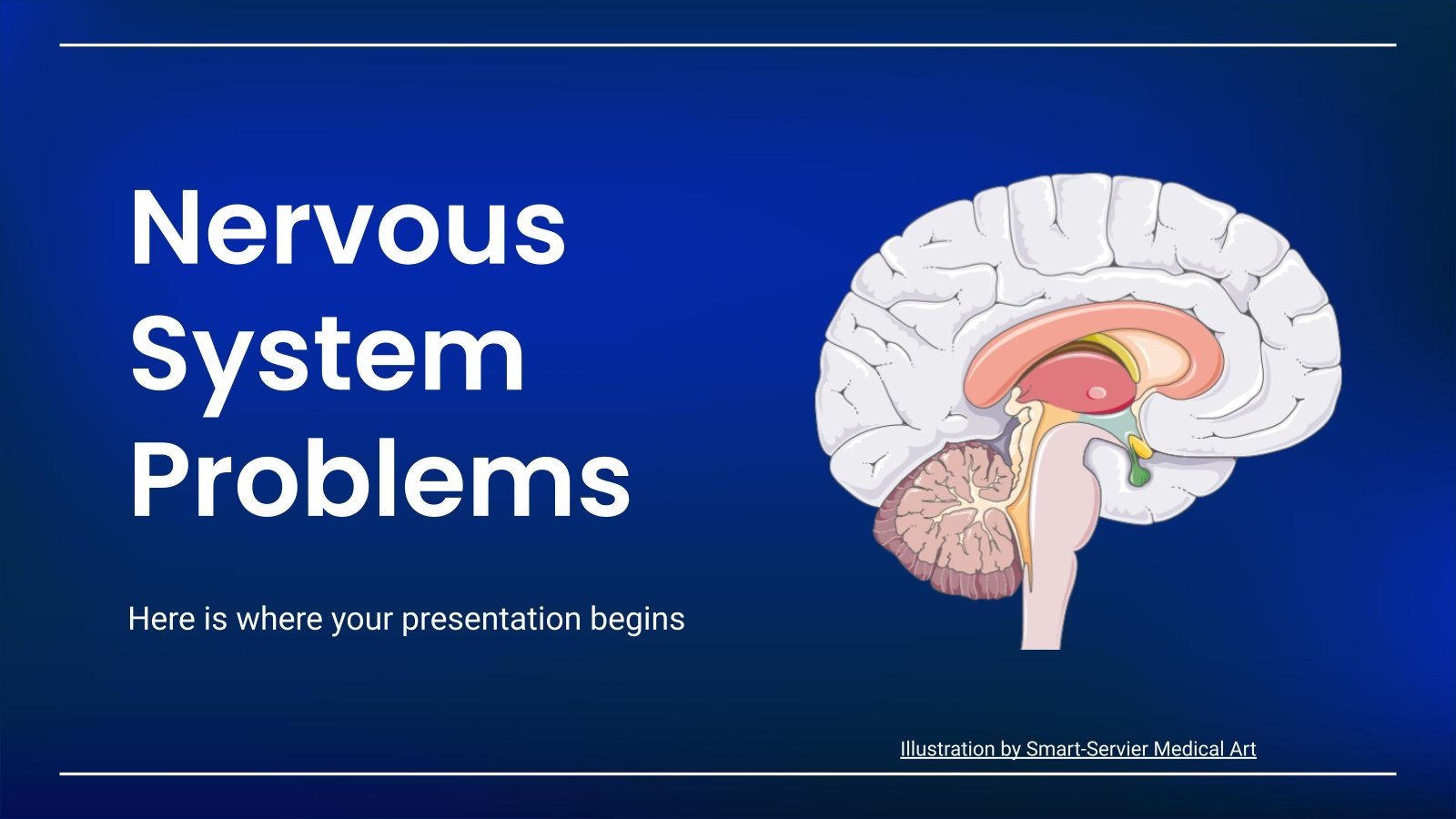 Nervous System Presentation