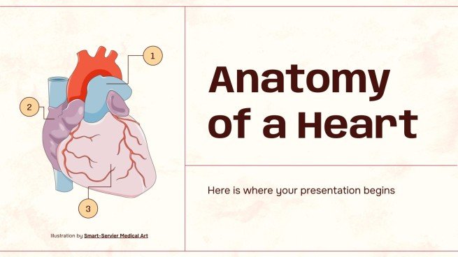 Anatomy of a Heart Presentation