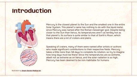 Anatomy of a Heart Presentation