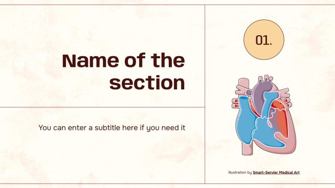 Anatomy of a Heart Presentation