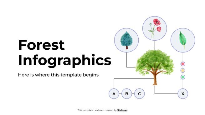 Forest Infographics Presentation