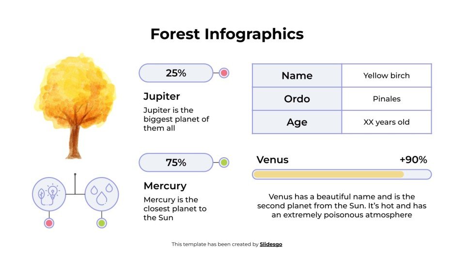 Forest Infographics Presentation
