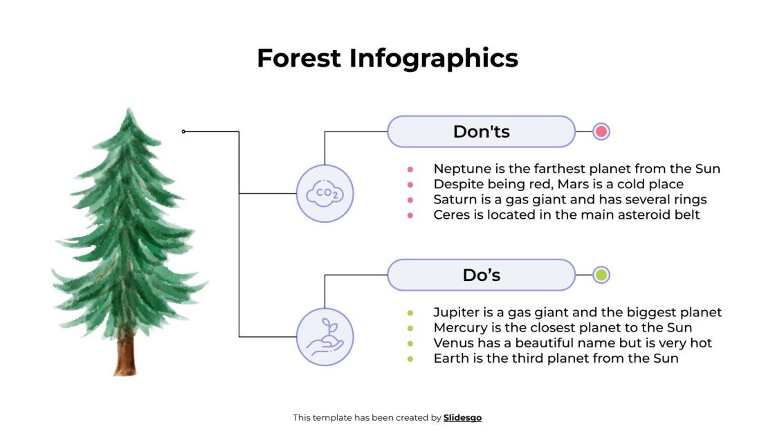 Forest Infographics Presentation