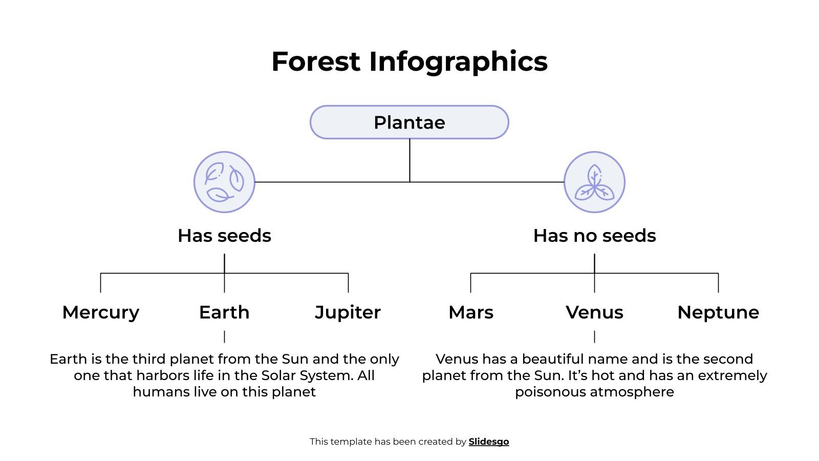 Forest Infographics Presentation