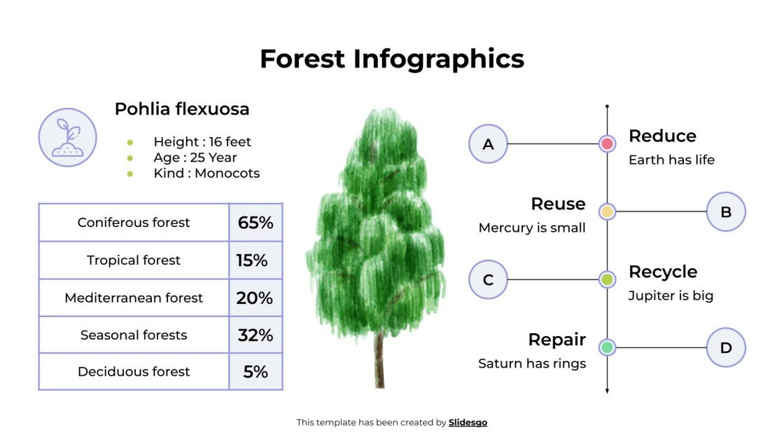Forest Infographics Presentation