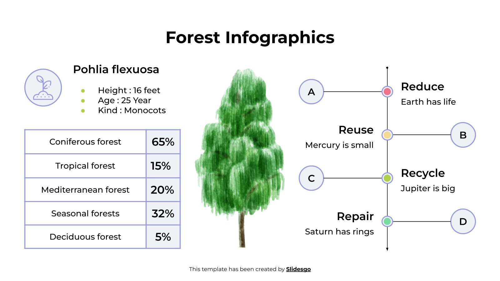 Forest Infographics Presentation
