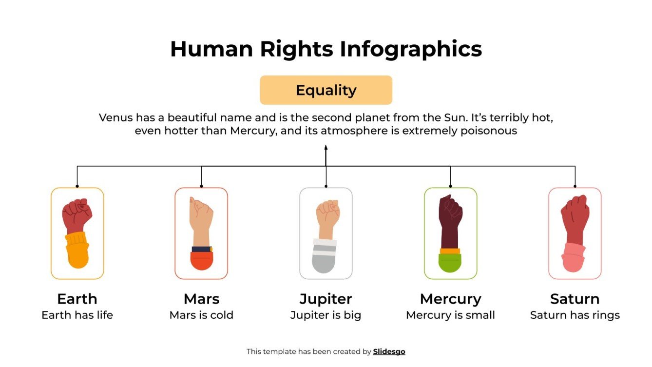 Human Rights Infographics Presentation