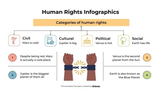 Human Rights Infographics Presentation