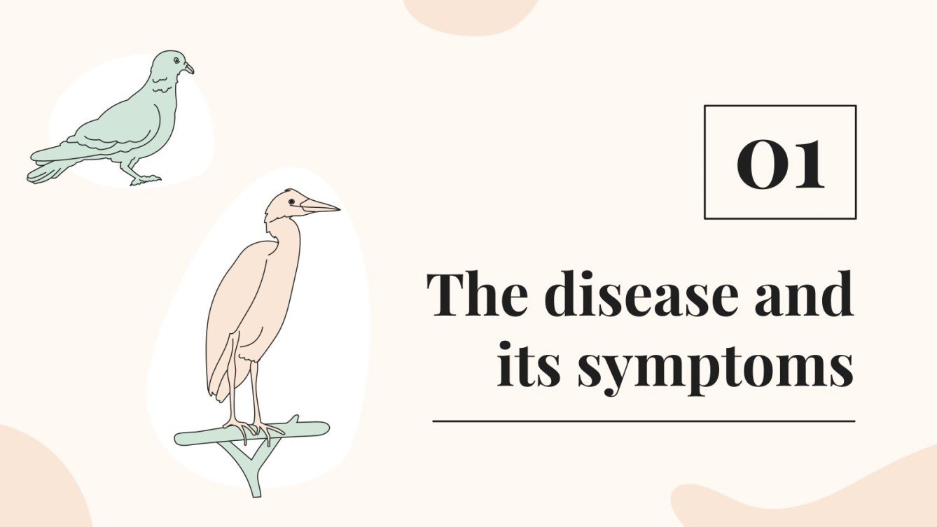 Pest-Borne Diseases: Psittacosis Presentation