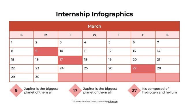 Internship Infographics Template