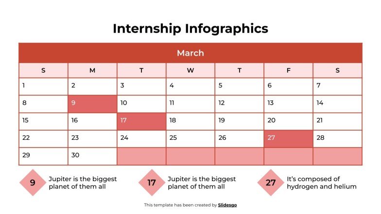 Internship Infographics Template