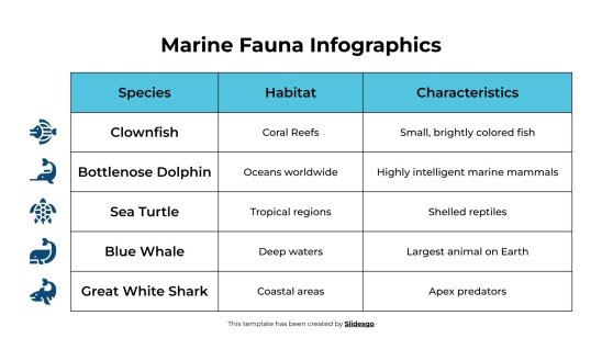 Marine Fauna Infographics Template
