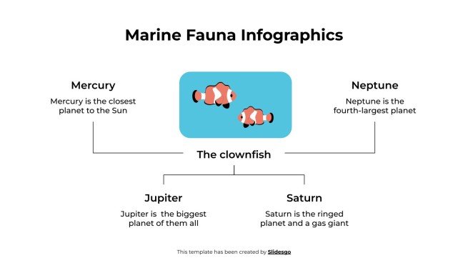 Marine Fauna Infographics Template