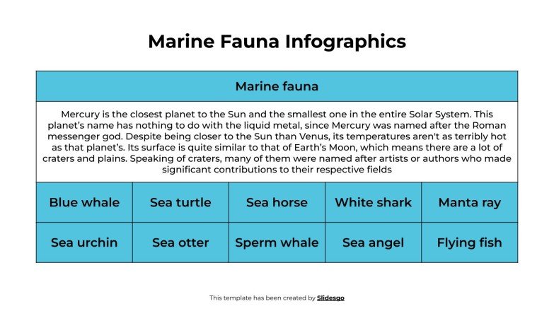 Marine Fauna Infographics Template