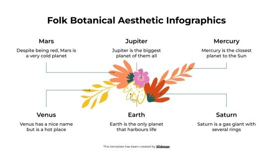 Folk Botanical Aesthetic Infographics Template