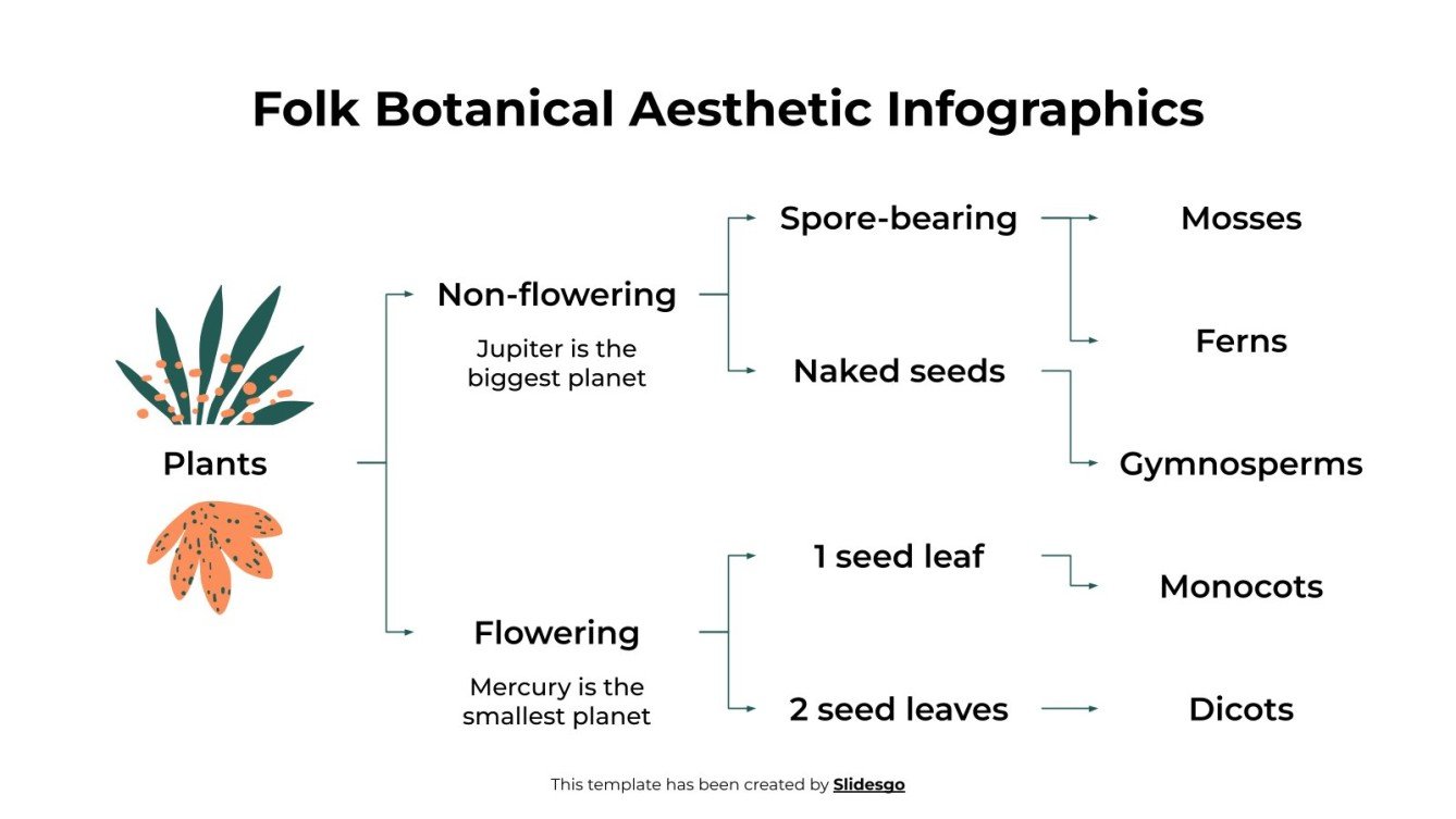 Folk Botanical Aesthetic Infographics Template