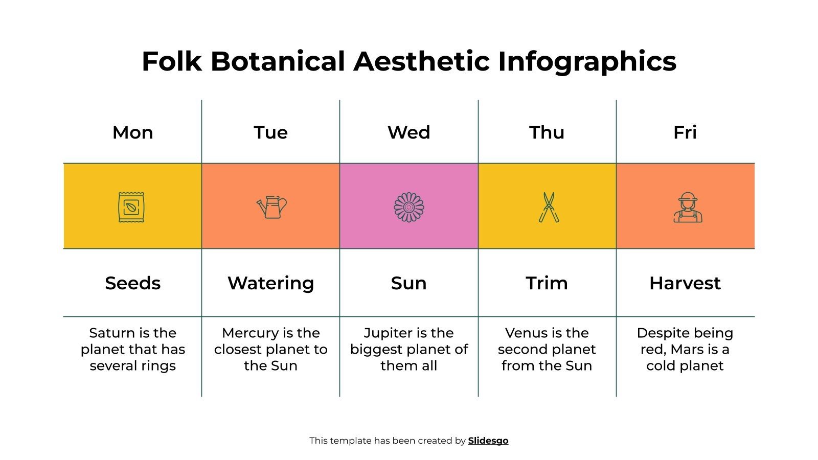 Folk Botanical Aesthetic Infographics Template