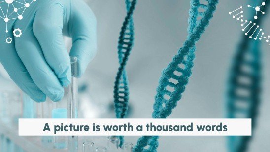 Apresentação Tudo sobre MicroRNA