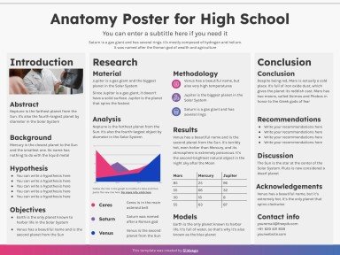 Anatomy Poster for High School Presentation