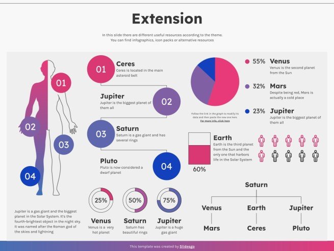 Anatomy Poster for High School Presentation
