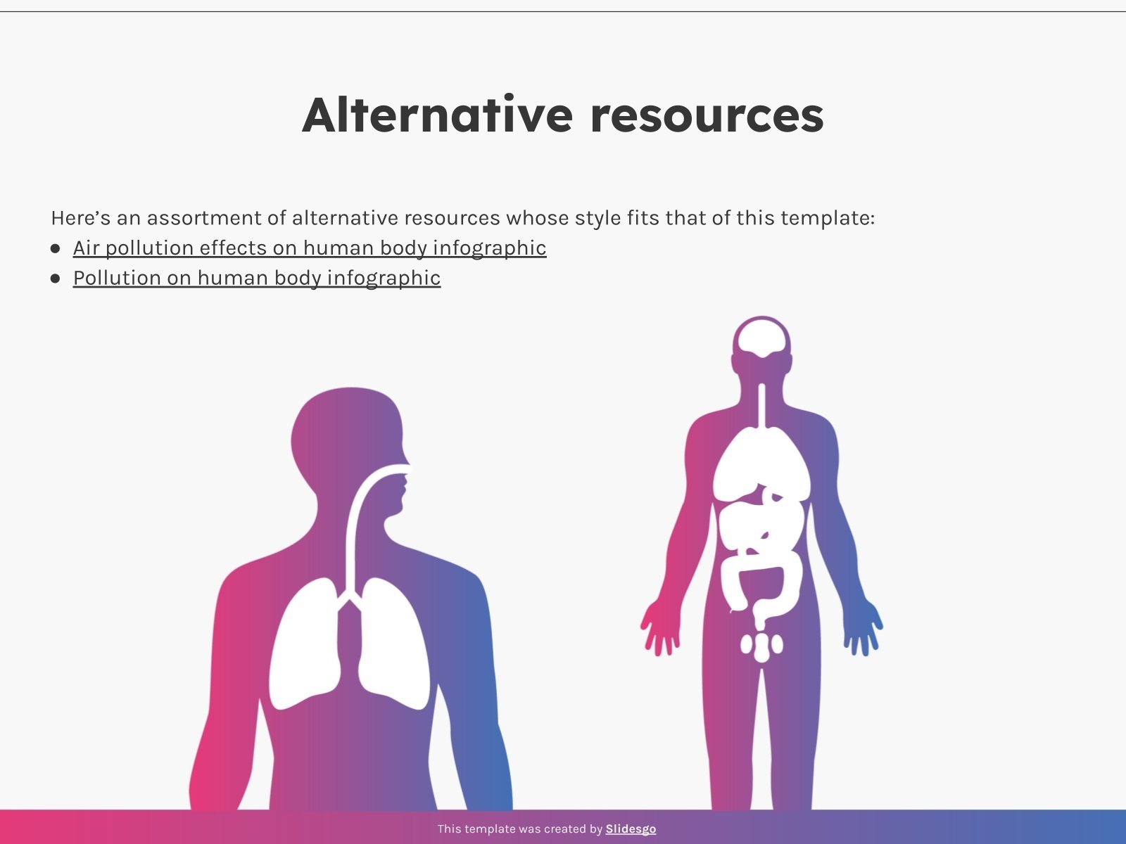 Anatomy Poster for High School Presentation