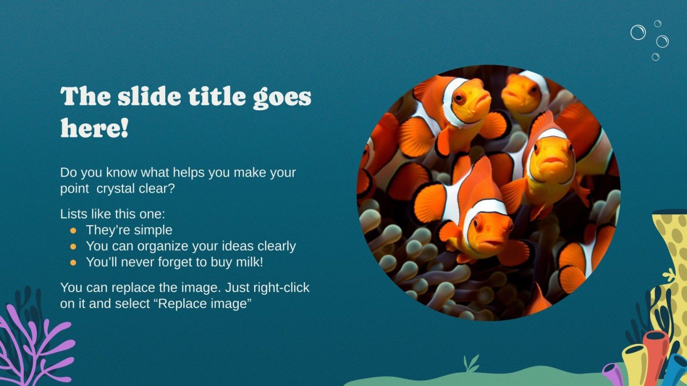 Clown Fish Presentation