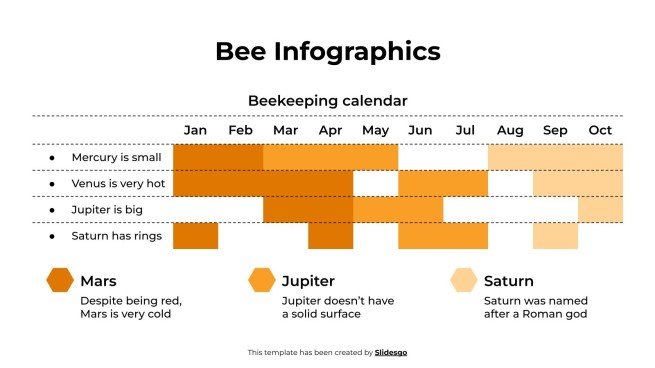 Bee Infographics Template