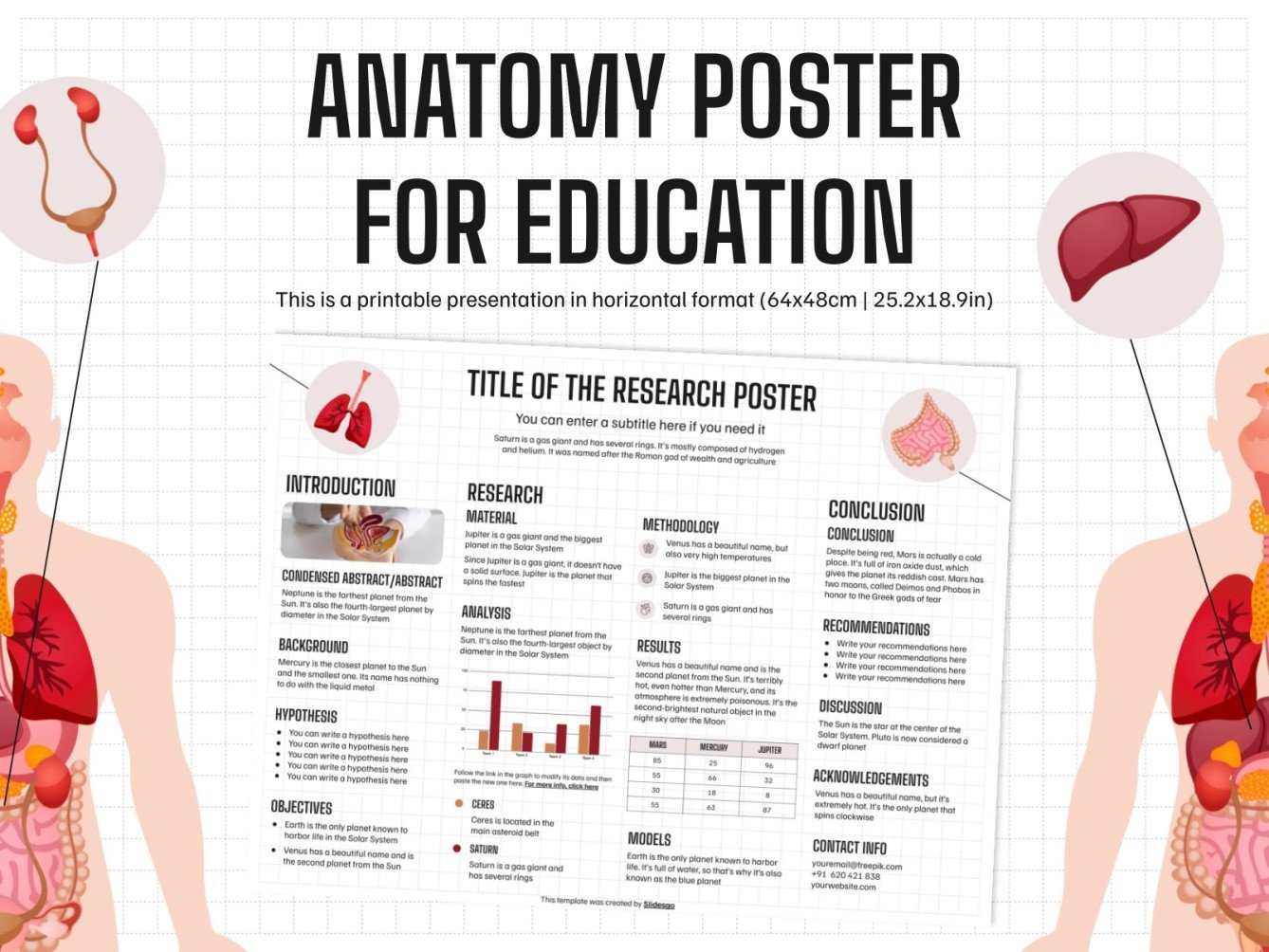 Anatomy Poster for Education Presentation