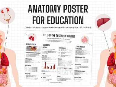 Anatomy Poster for Education Presentation