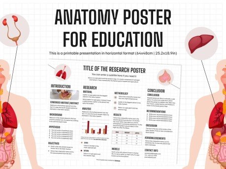 Anatomy Poster for Education Presentation