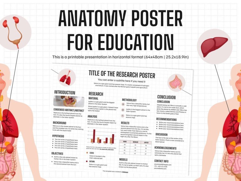 Anatomy Poster for Education Presentation