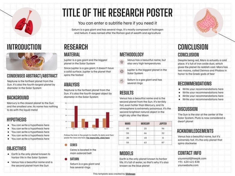 Anatomy Poster for Education Presentation