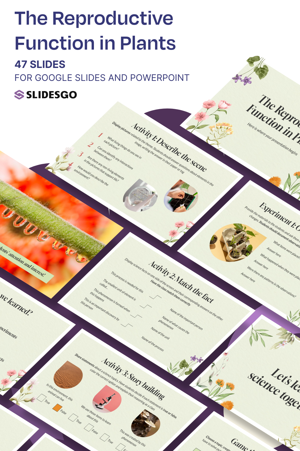 The Reproductive Function in Plants Presentation