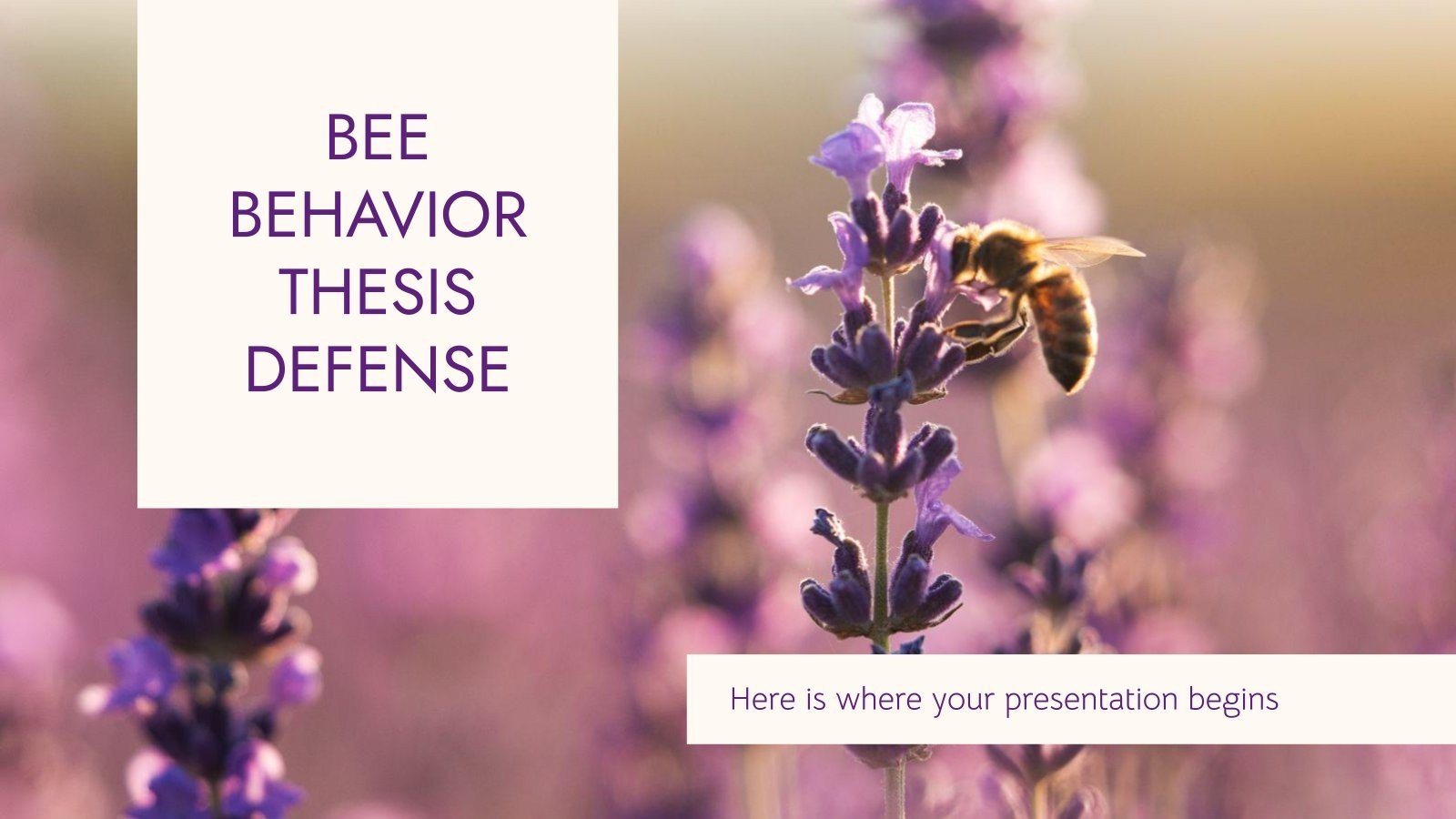 Bee Behavior Thesis Defense Presentation