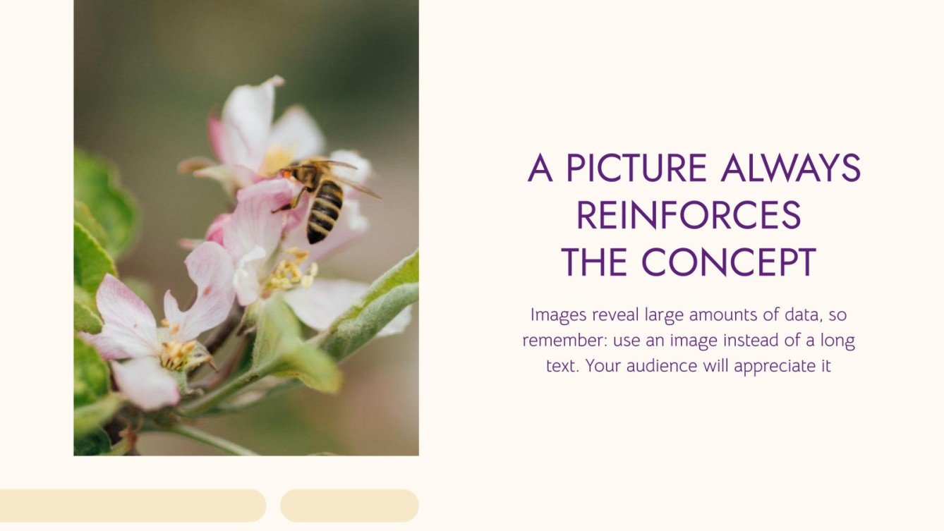 Bee Behavior Thesis Defense Presentation