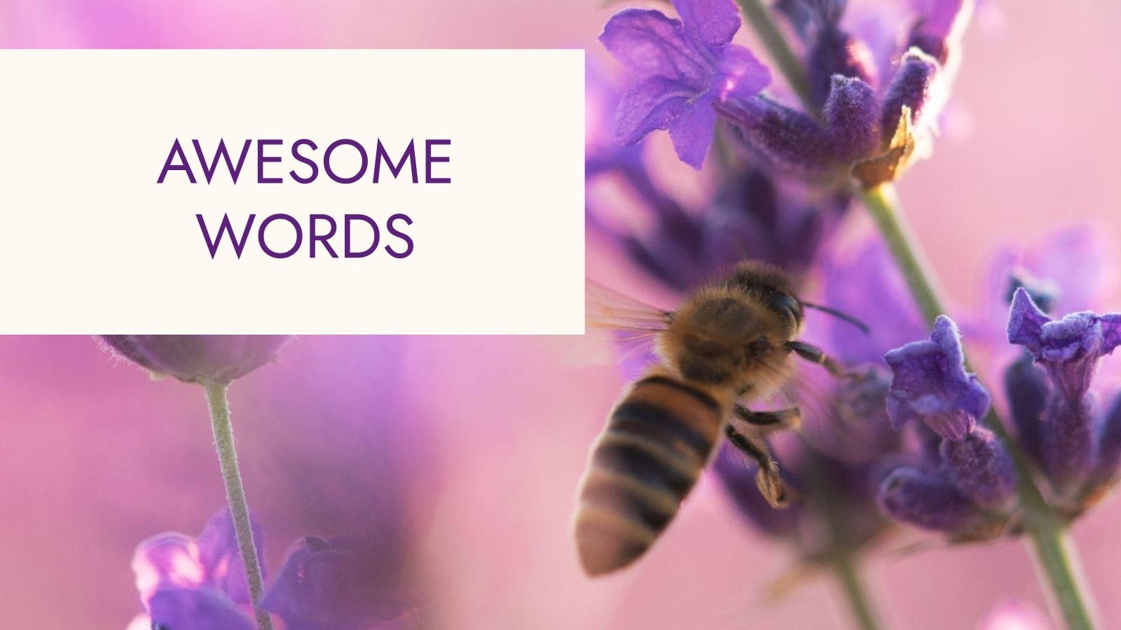 Bee Behavior Thesis Defense Presentation