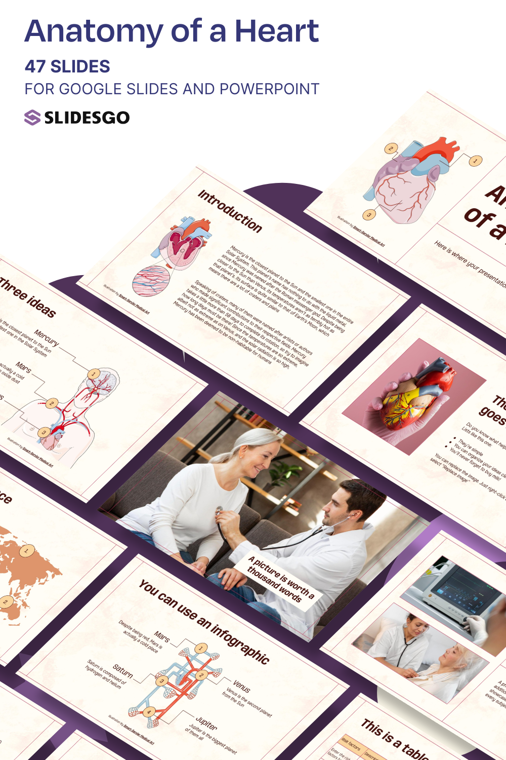 Anatomy of a Heart Presentation