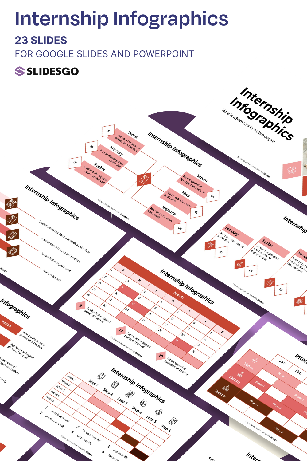 Internship Infographics Template