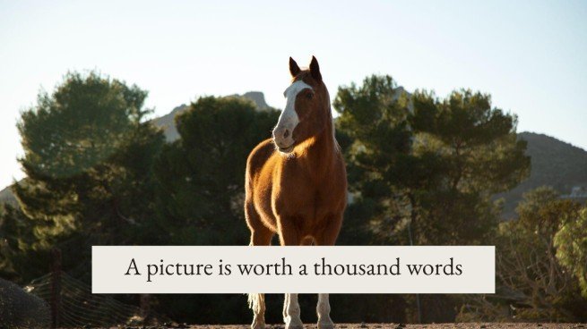 Benefits of Equine Therapy Presentation