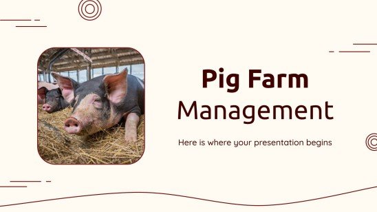 Pig Farm Management Presentation