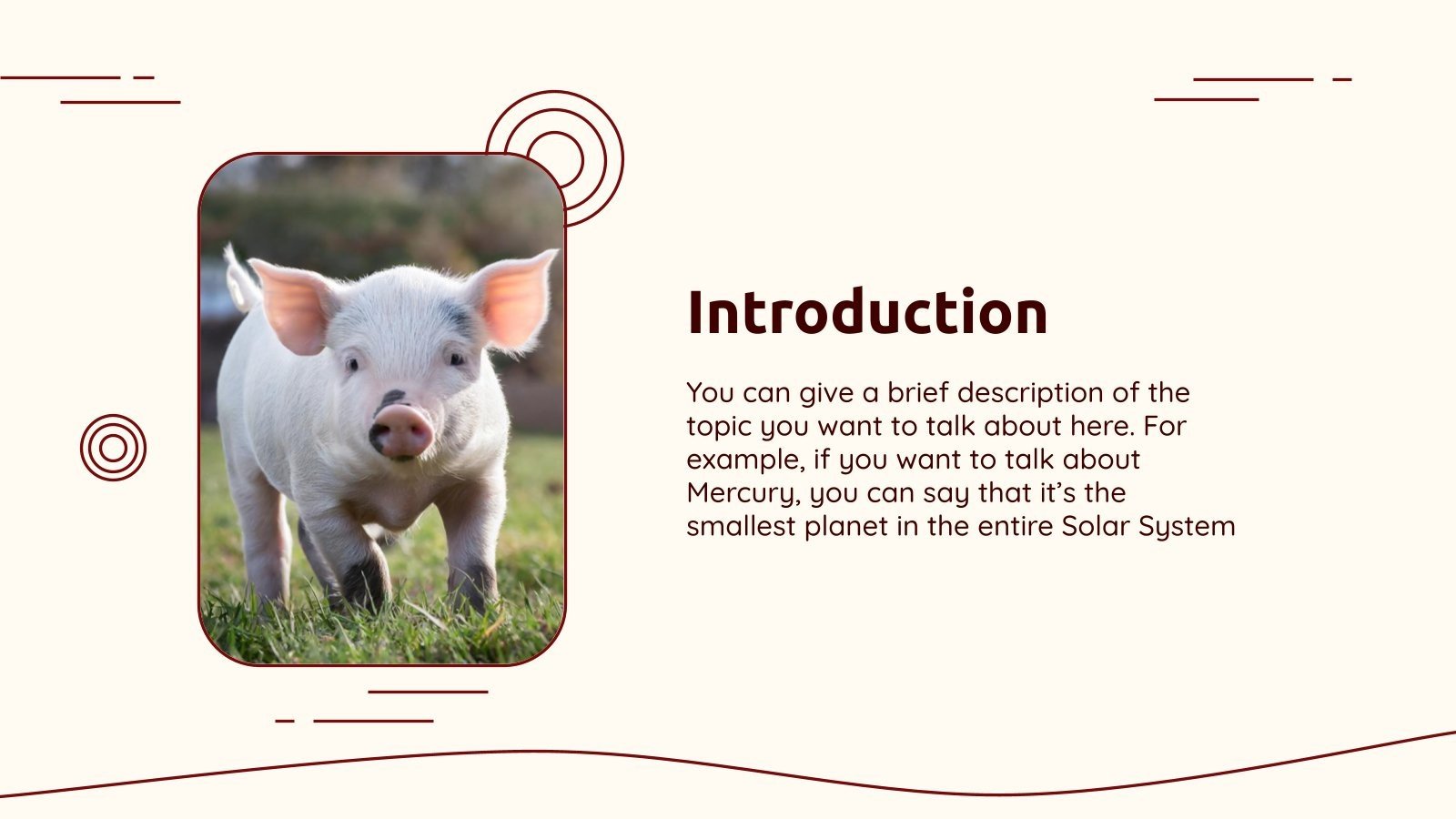 Pig Farm Management Presentation