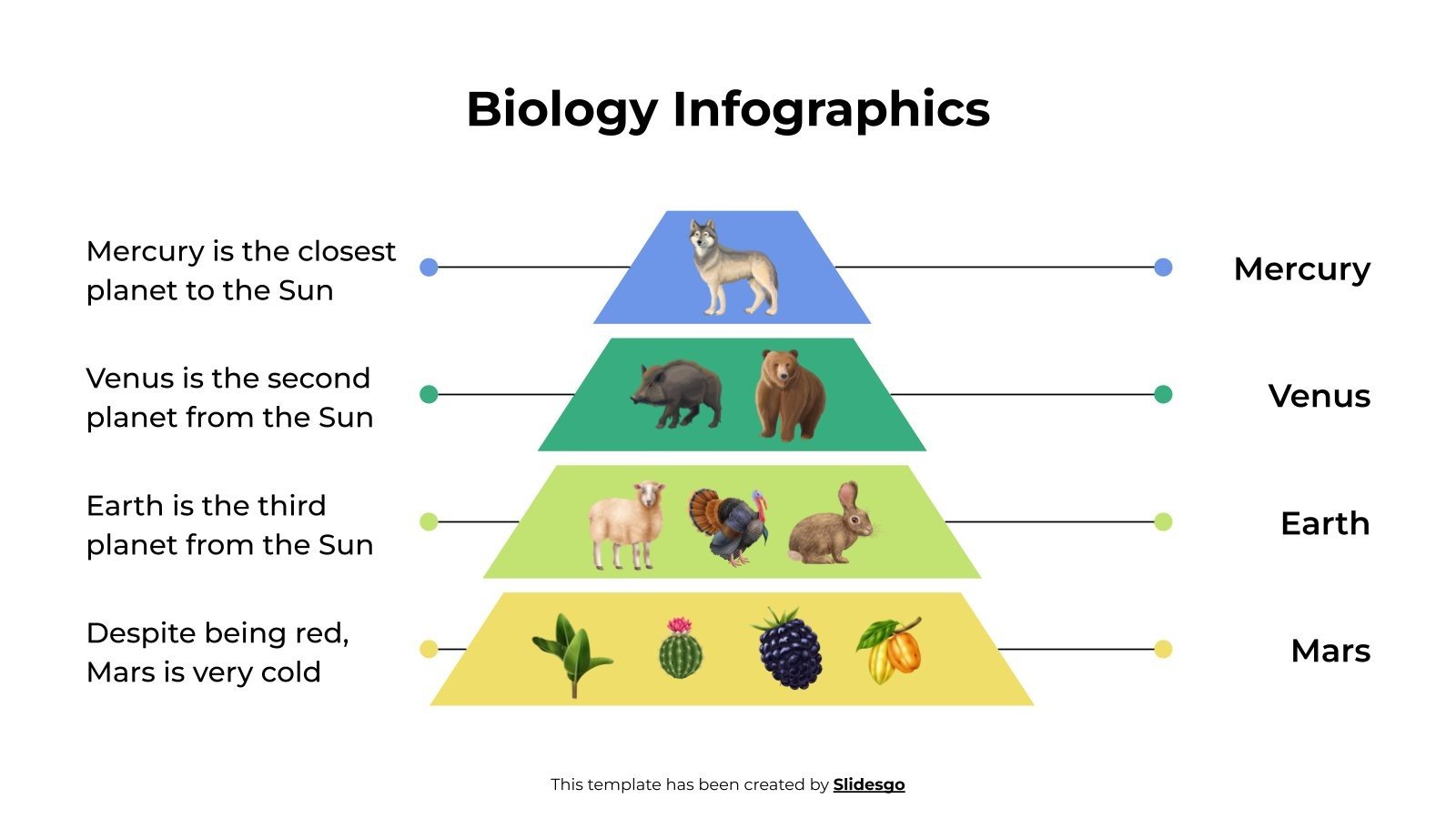 Biology Infographics Template