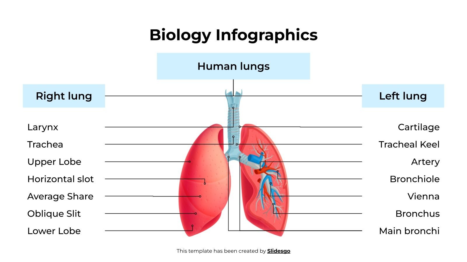 Biology Infographics Template