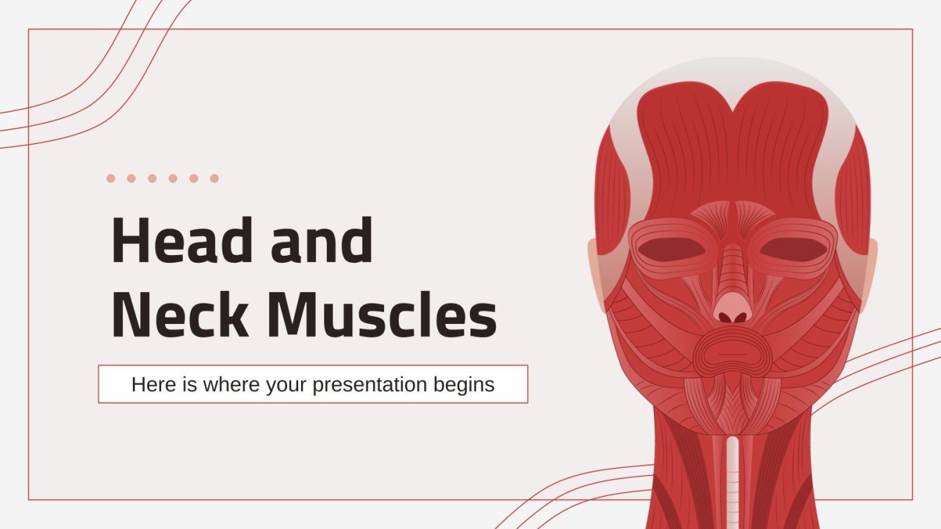 Head and Neck Muscles Presentation