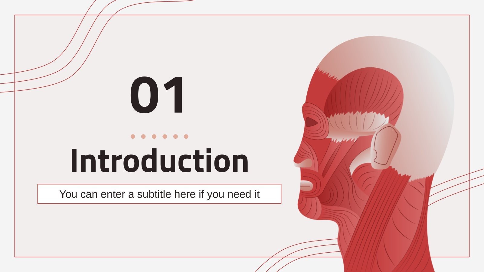 Head and Neck Muscles Presentation