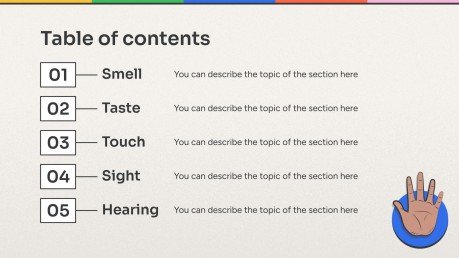 Sense Organs Presentation