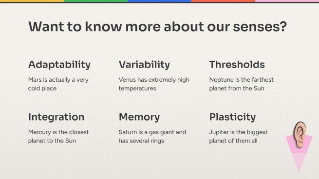 Sense Organs Presentation